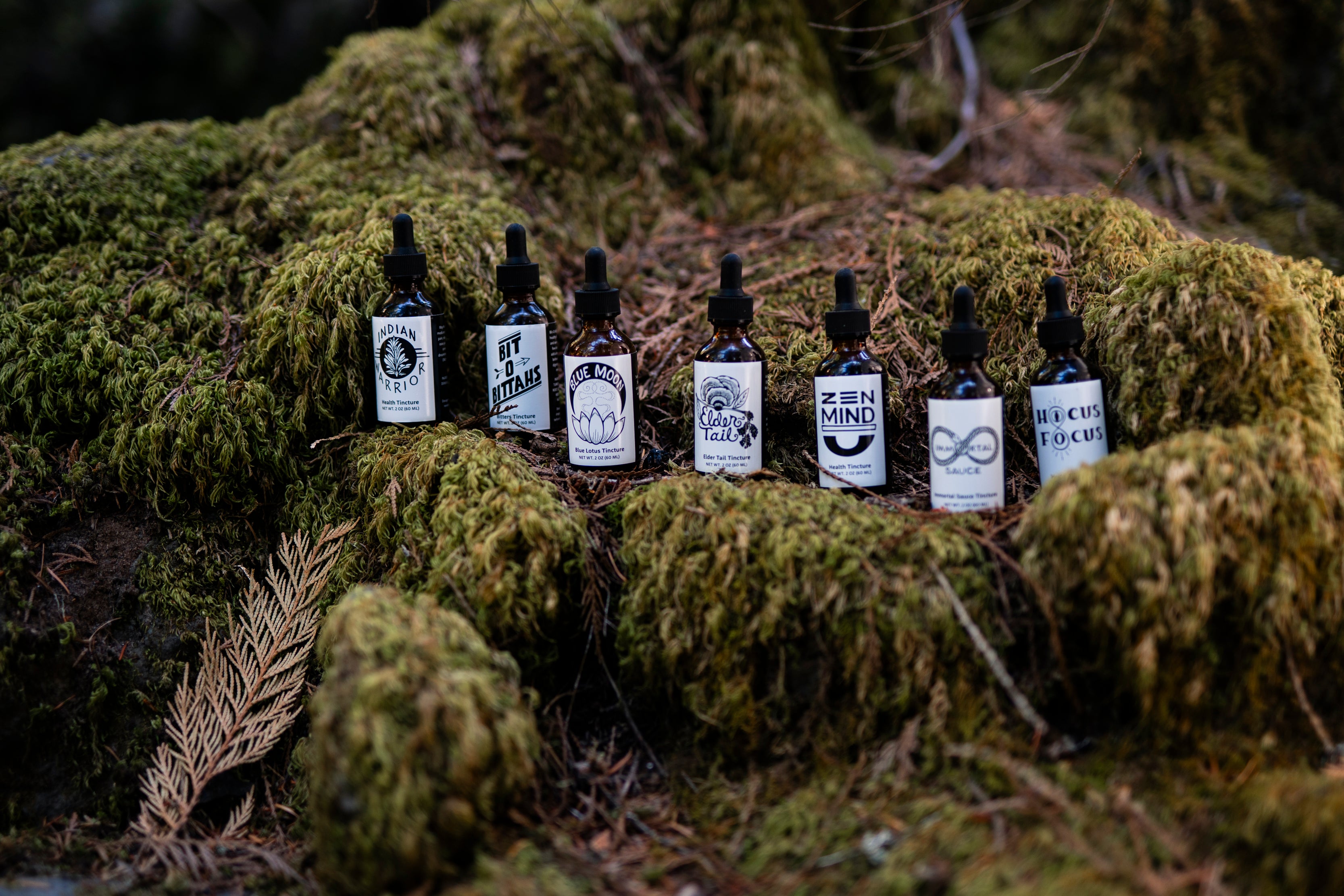 Tinctures - Combo Set – The Loving Fungi